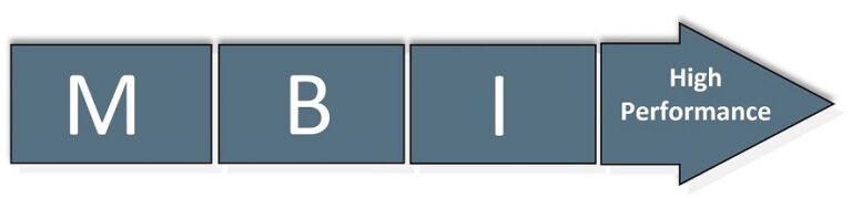 The MBI Model for High Performing Multicultural Teams - Culture ...